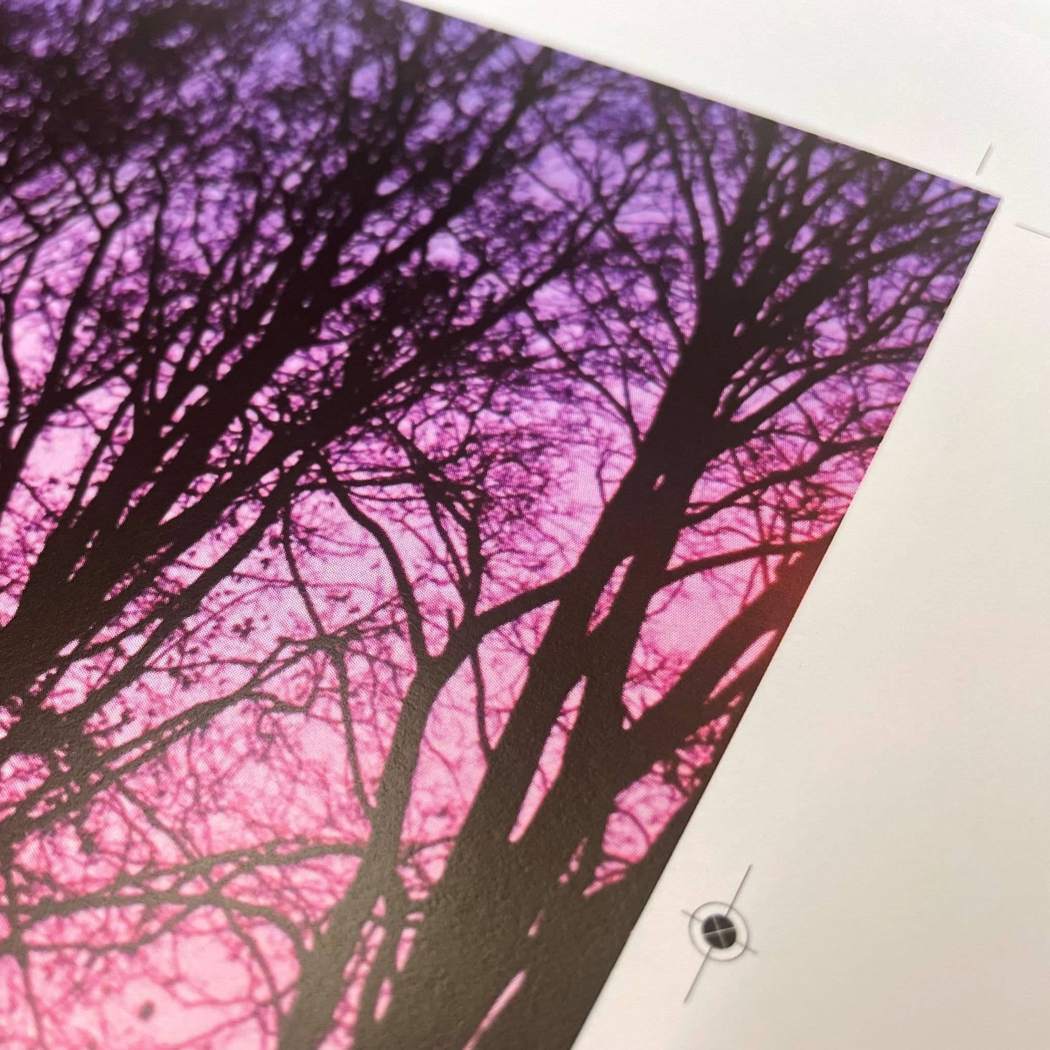 A4 Colour Printing About Us Personal & Business Printing Solutions ...